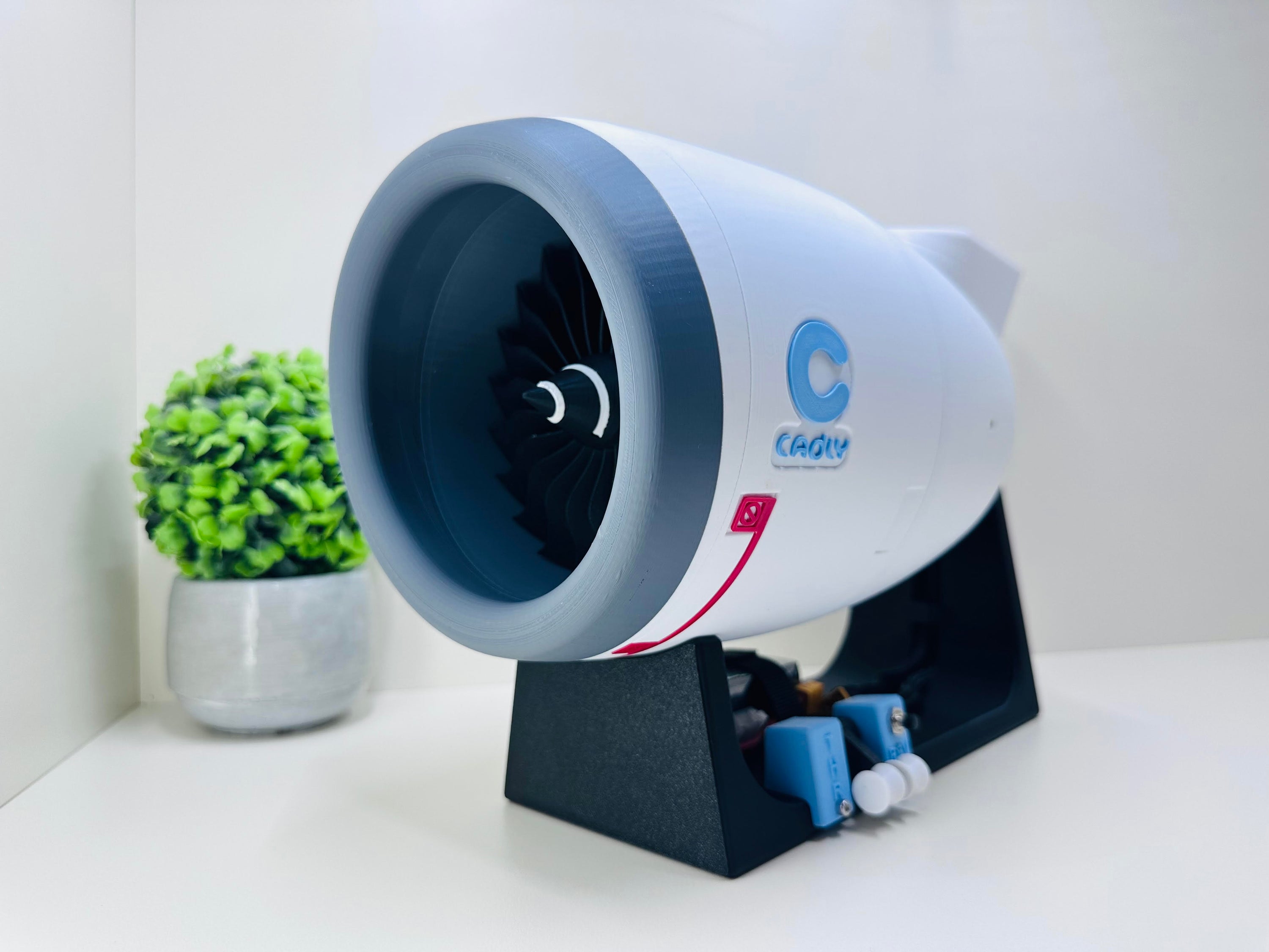 Cadly by Adrian Barsotti